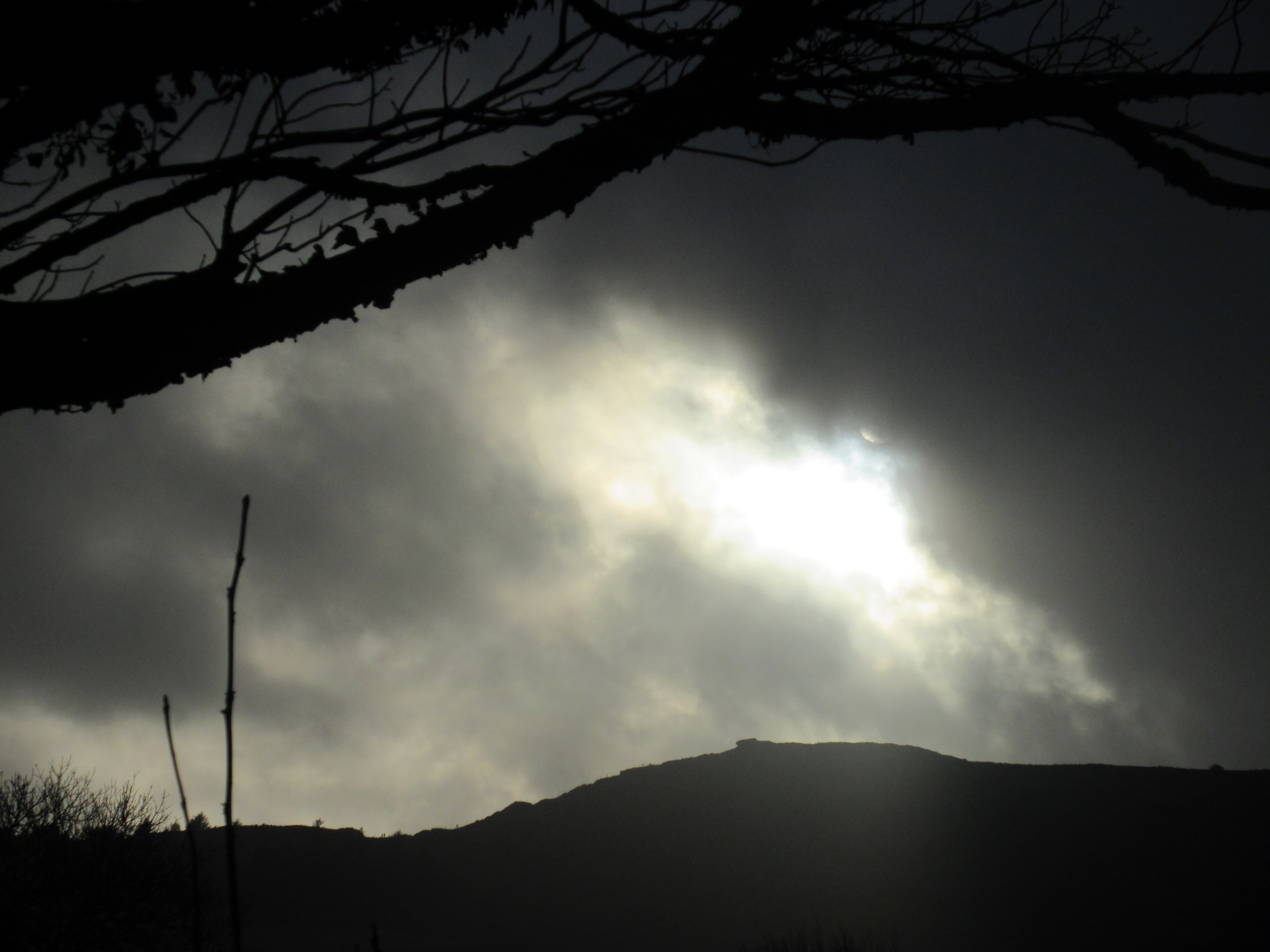 Out Delivering Christmas Cards… | Cornish Adrian