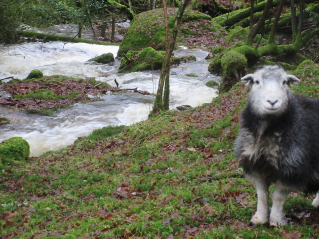 Cornish Adrian | … on the arts and the outdoors